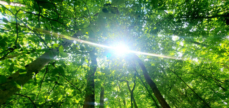 Mind Control Spelled Out - TRANCE Formation Of America