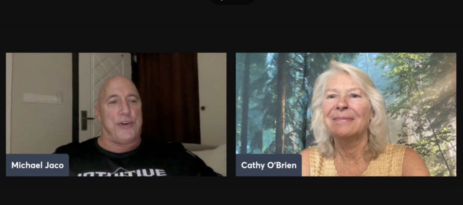 Michael Jaco - TRANCE Formation Of America